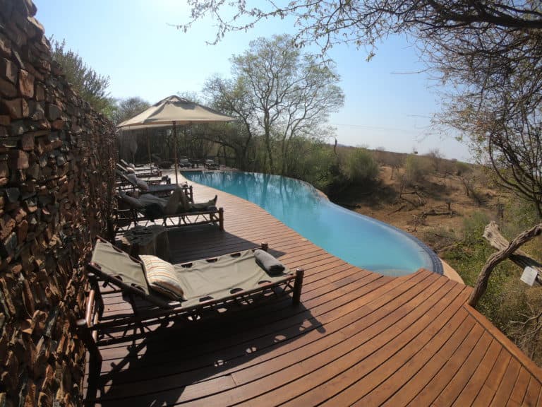 Makanyane Safari Lodge Review: Luxury in the South African Bush - 10xTravel