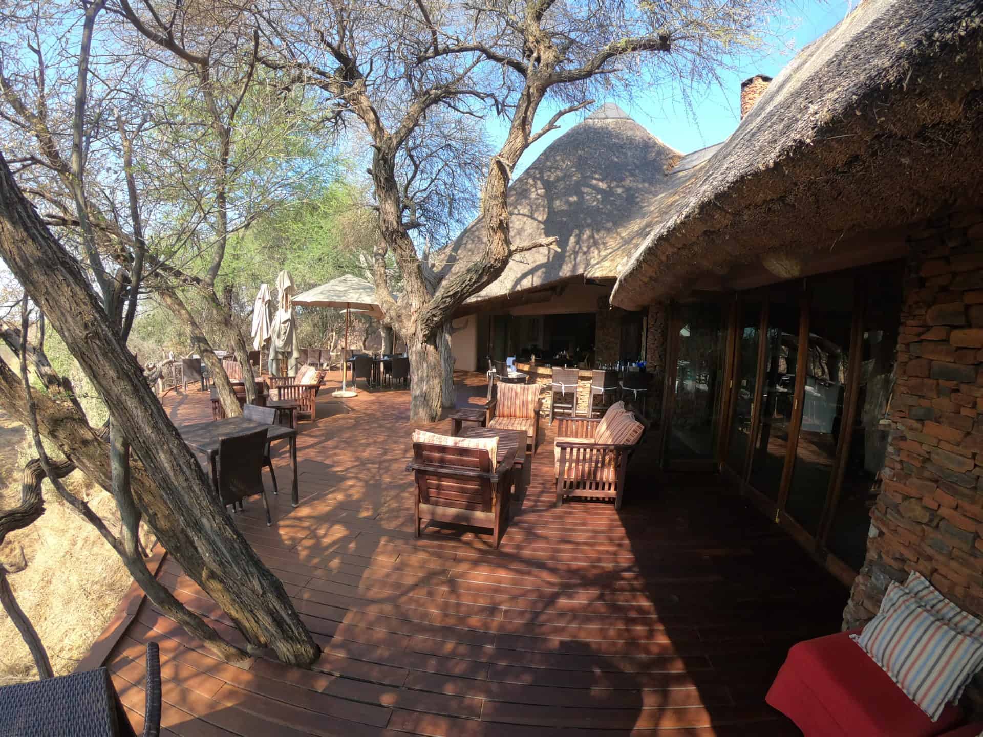 Makanyane Safari Lodge Review: Luxury in the South African Bush - 10xTravel